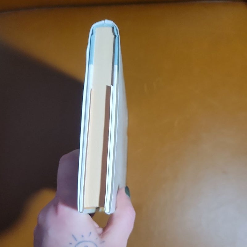 Double Identity by Margaret Peterson Haddix, Hardcover | Pangobooks