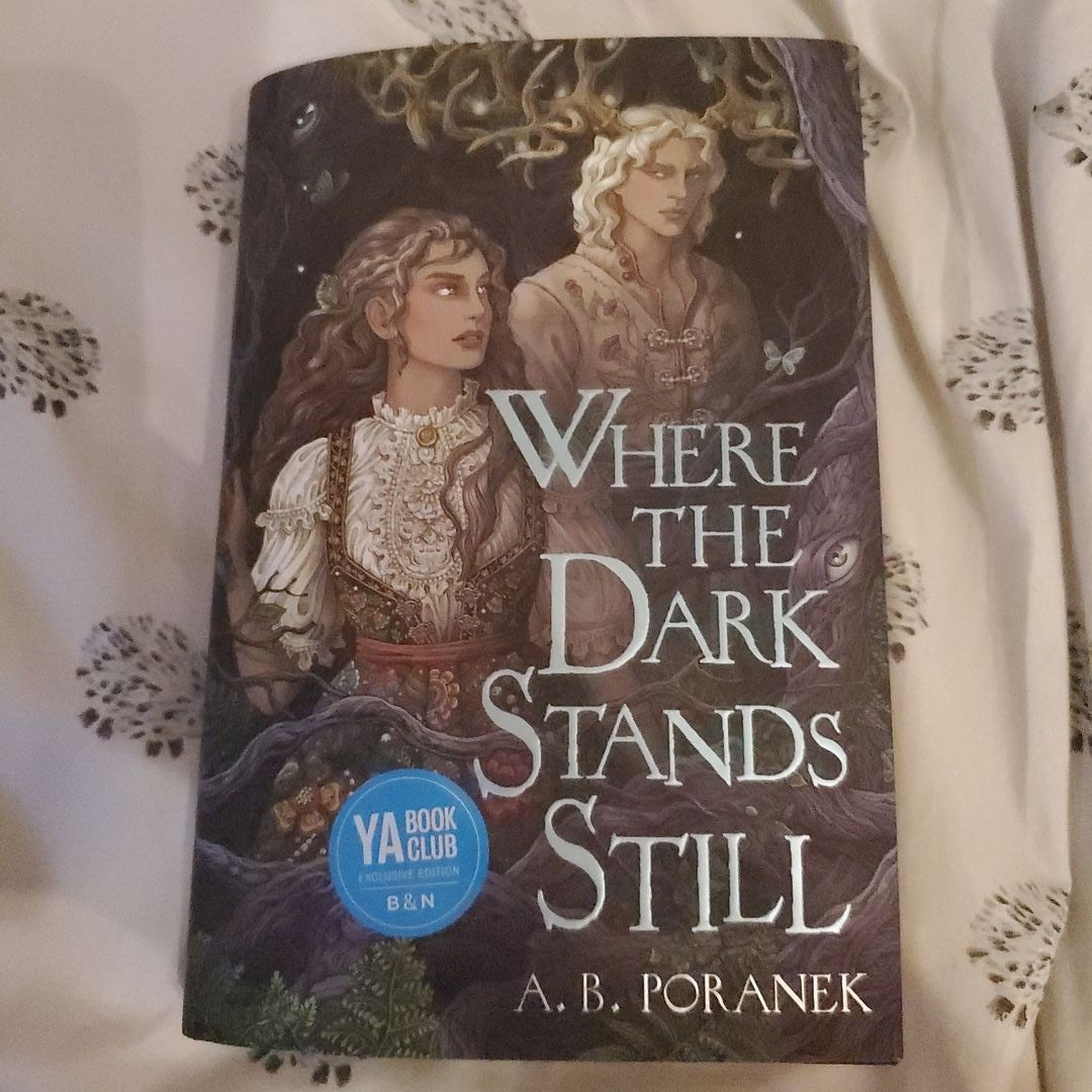Where the dark stands still by A.B. Poranek, Hardcover | Pangobooks
