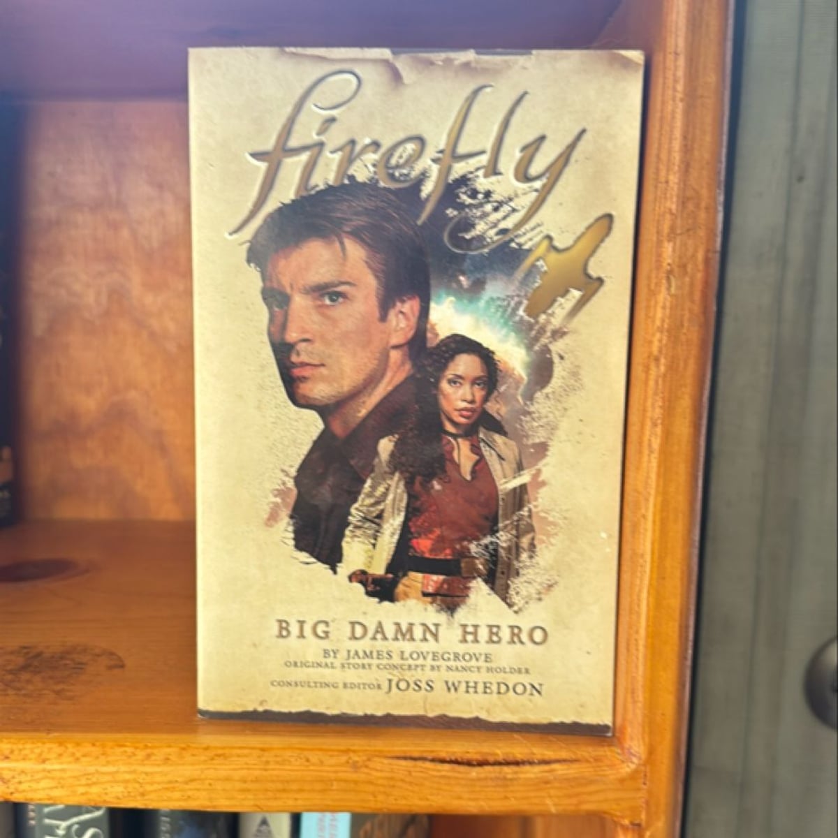 Firefly: Big Damn Hero by James Lovegrove, Nancy Holder