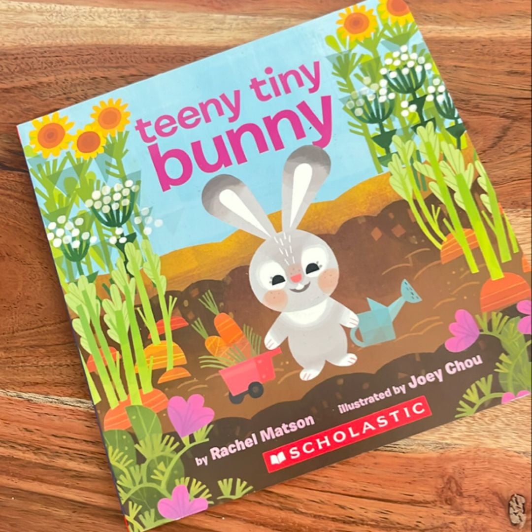Teeny Tiny Bunny by Rachel Matson