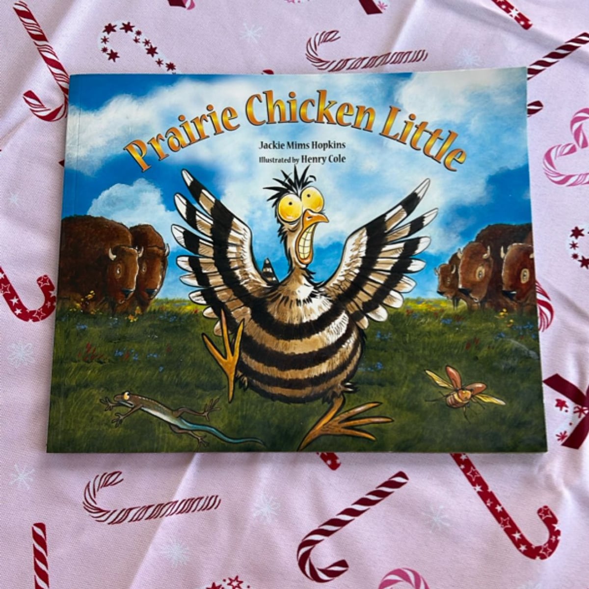 Prairie Chicken Little by Jackie Mims Hopkins