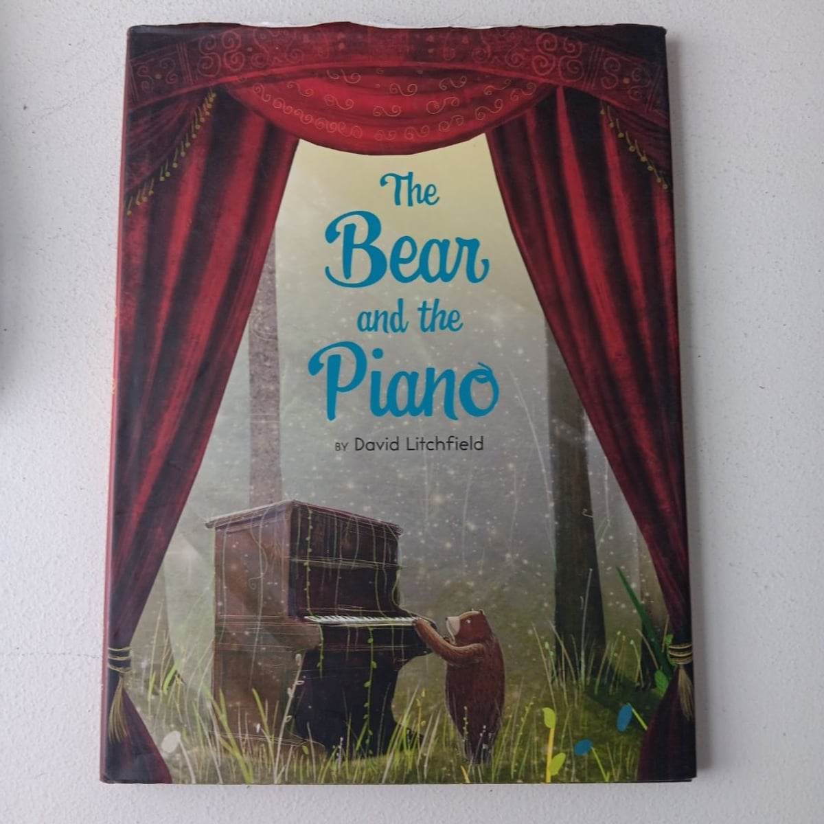 the-bear-and-the-piano-by-david-litchfield
