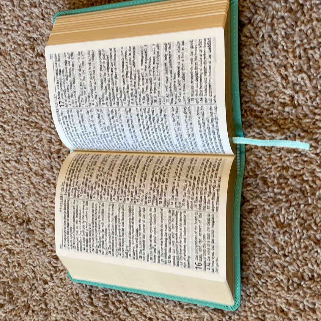 KJV Large Print Compact Bible by Christian Art Publishers, Paperback ...