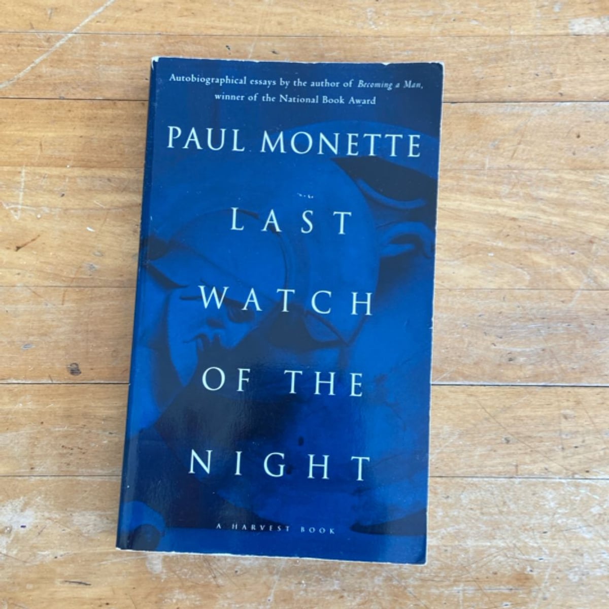 Last Watch of the Night by Paul Monette