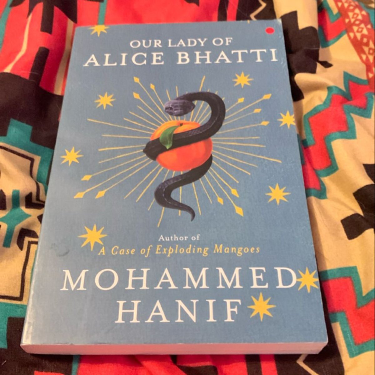 Our Lady of Alice Bhatti by Mohammed Hanif