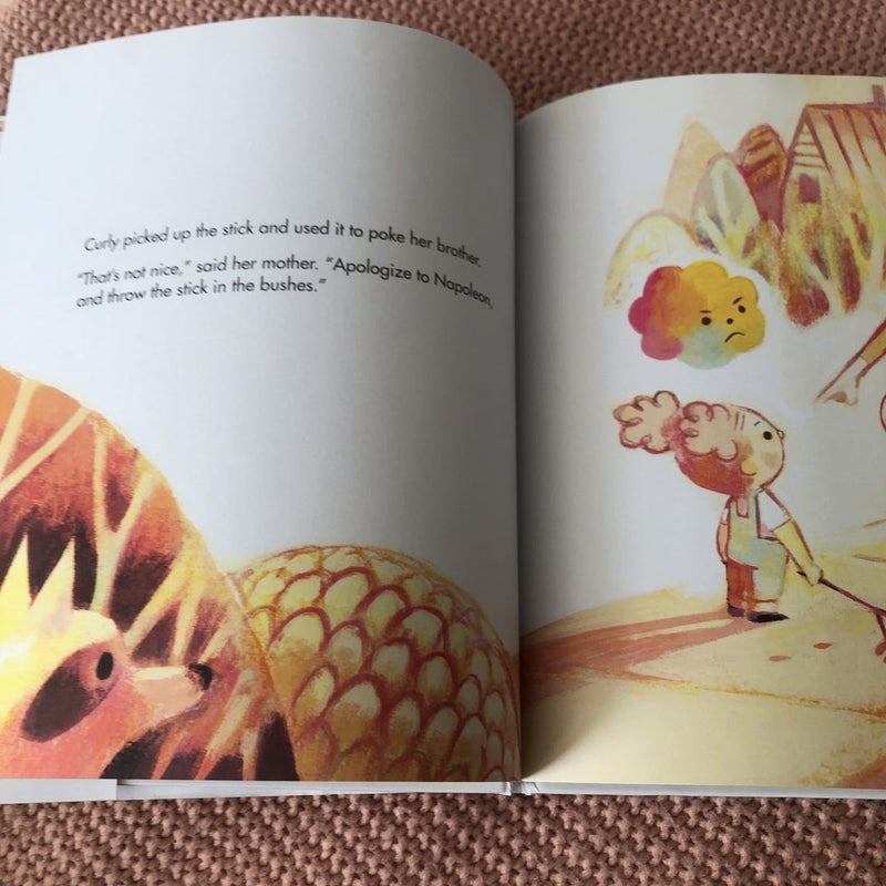 The Bad Mood and the Stick by Lemony Snicket