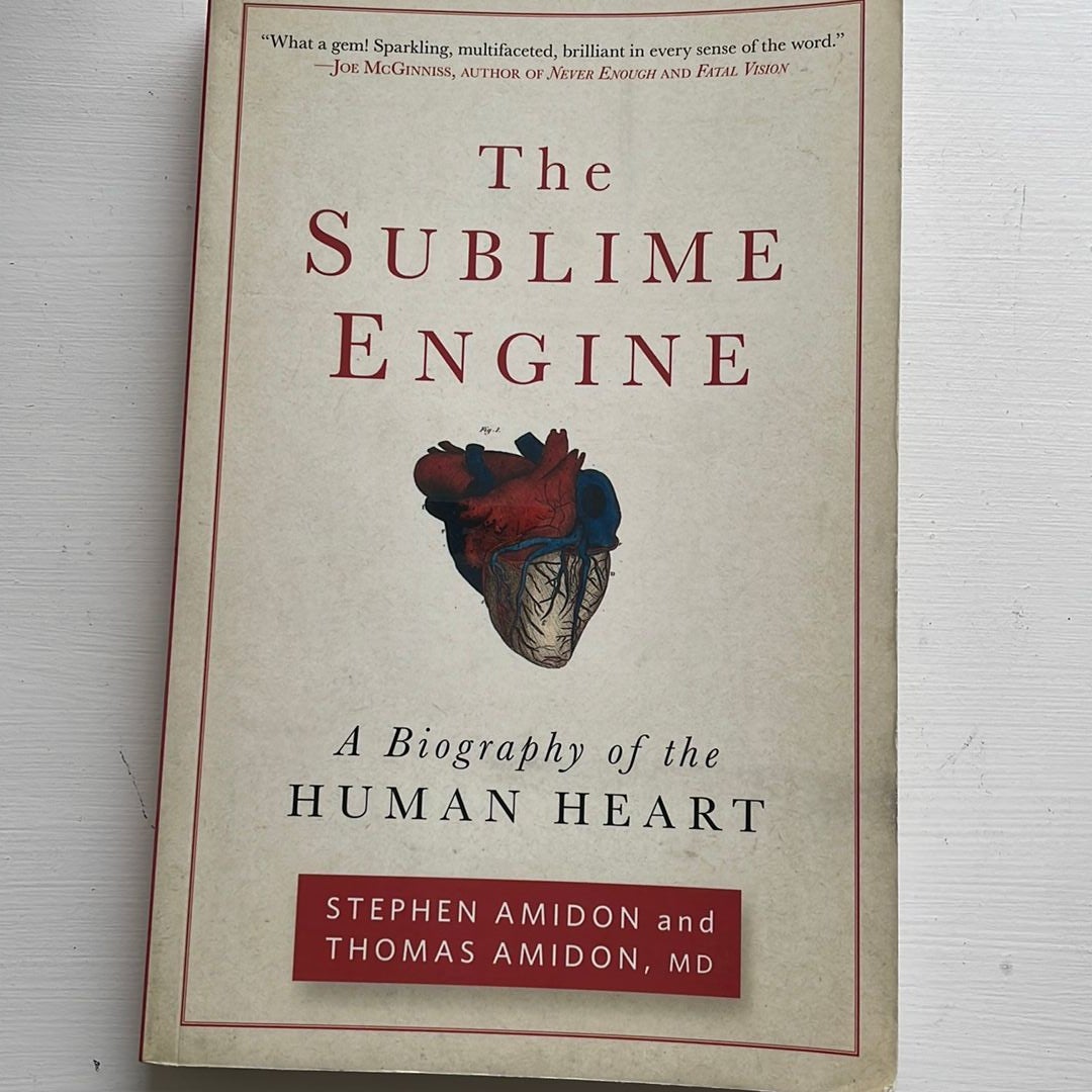 The Sublime Engine by Stephen Amidon, Thomas Amidon