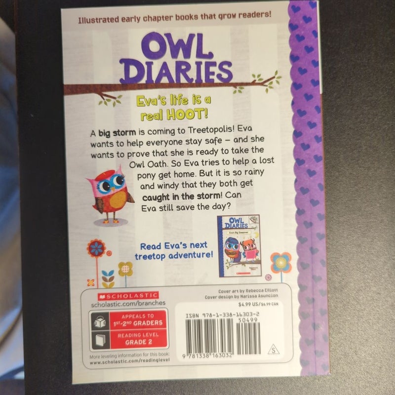 Eva and the Lost Pony by Rebecca Elliott