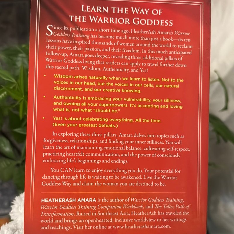The Warrior Goddess Way by Heather Ash Amara, Paperback | Pangobooks