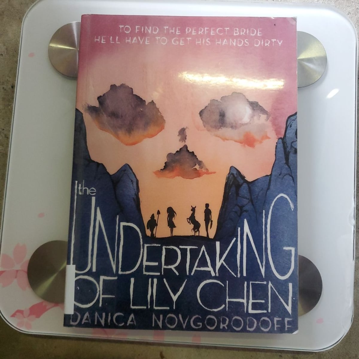 The Undertaking of Lily Chen by Danica Novgorodoff