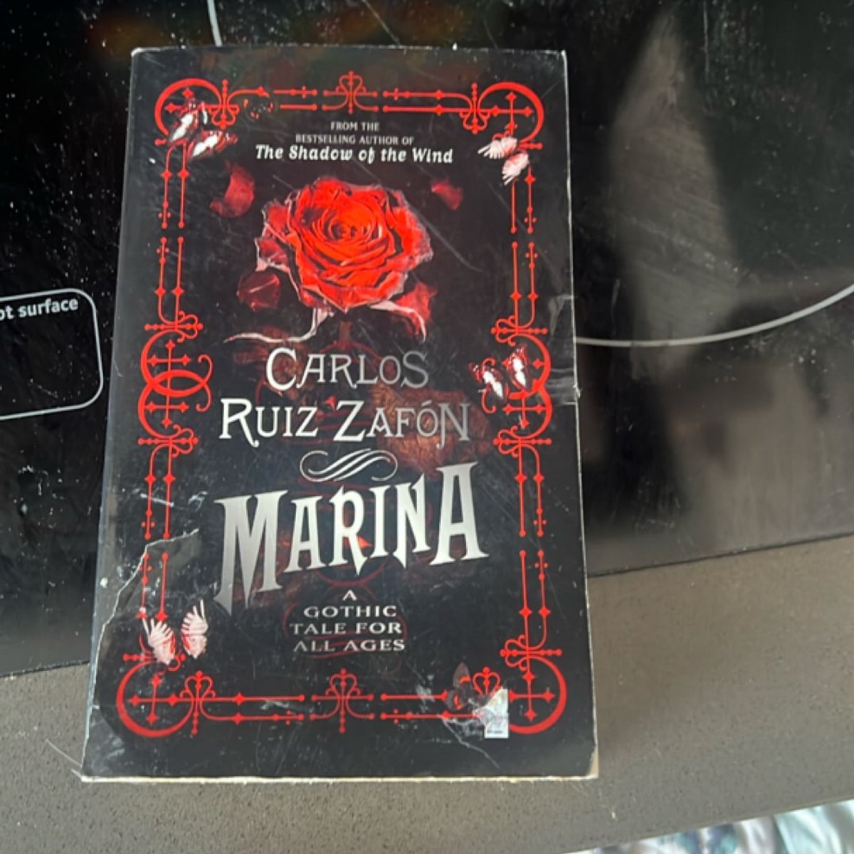 Marina by Carlos Ruiz Zafón