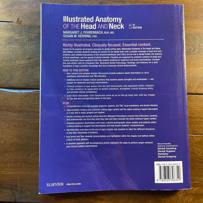 Illustrated Anatomy Of The Head And Neck