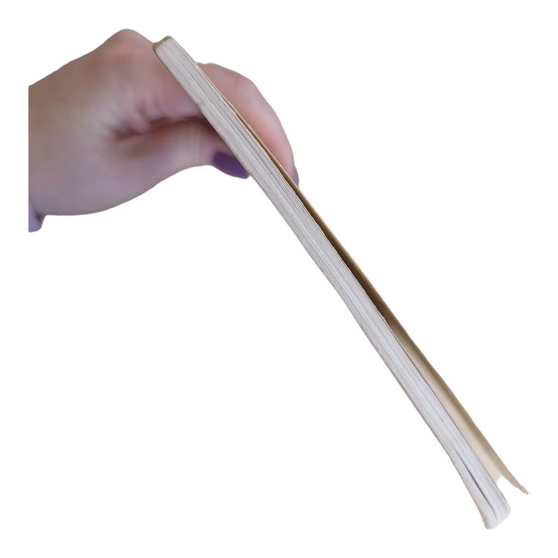 Little Bear's Visit by Else Holmelund Minarik