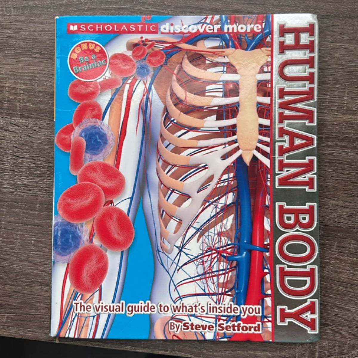 Scholastic Discover More: Human Body by Steve Setford