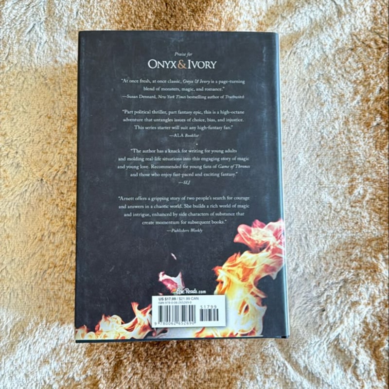 Shadow and Flame by Mindee Arnett