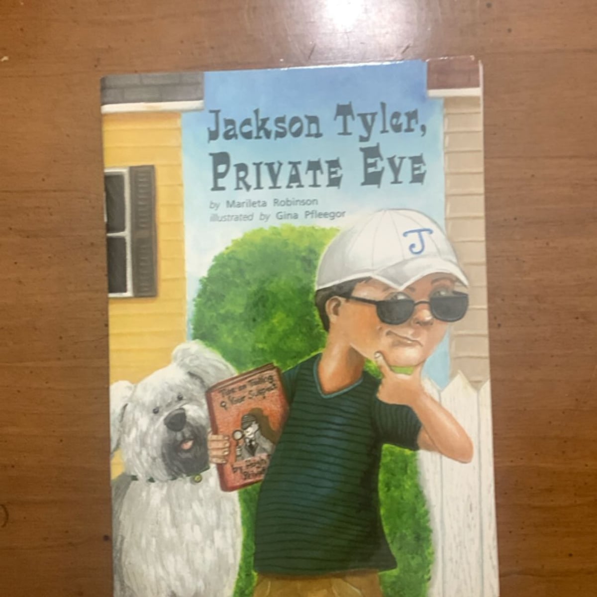 Jackson Tyler Private Eye by Marileta Robinson