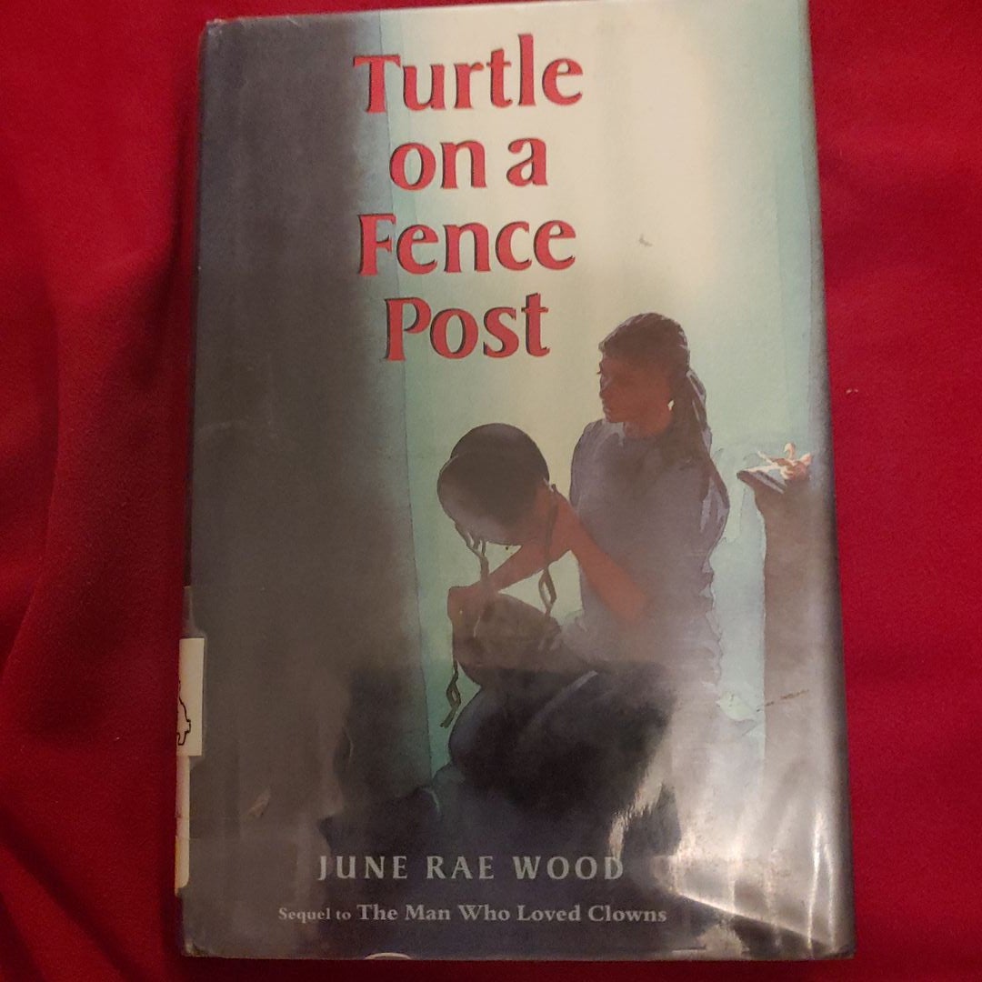 Turtle on a Fence Post