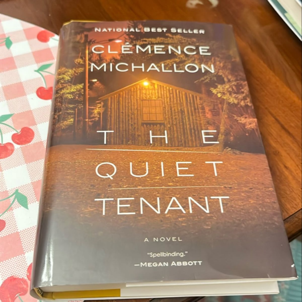 The Quiet Tenant by Clémence Michallon
