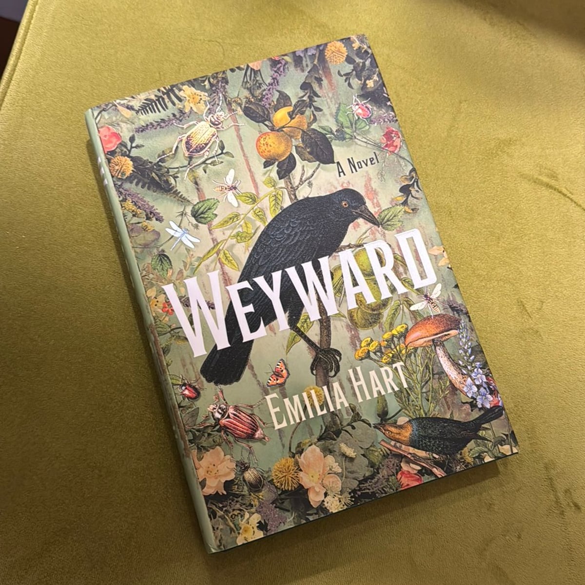 Weyward by Emilia Hart, Hardcover | Pangobooks