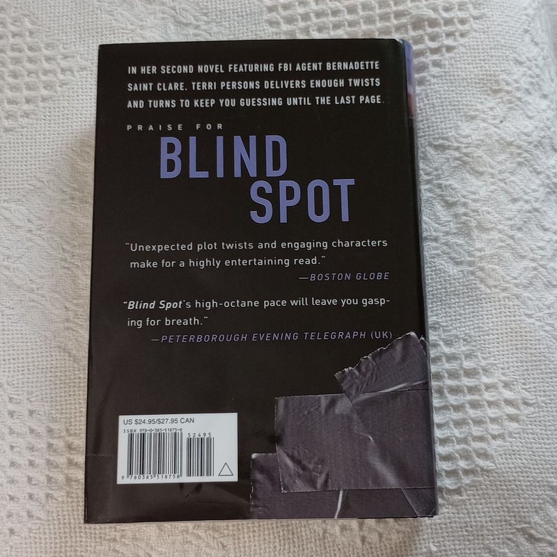 Blind Rage by Terri Persons