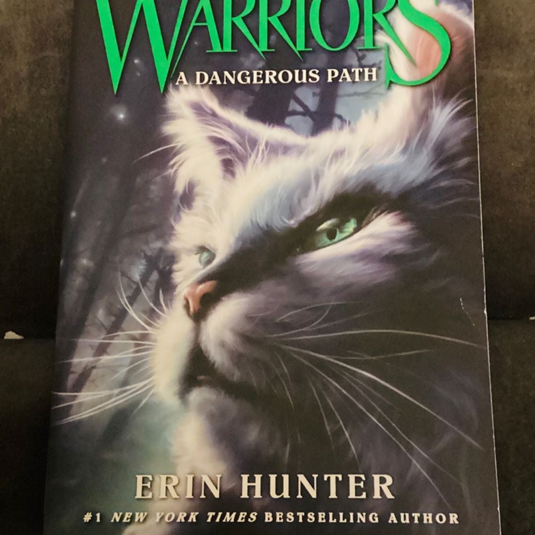 Warriors #5: a Dangerous Path by Erin Hunter