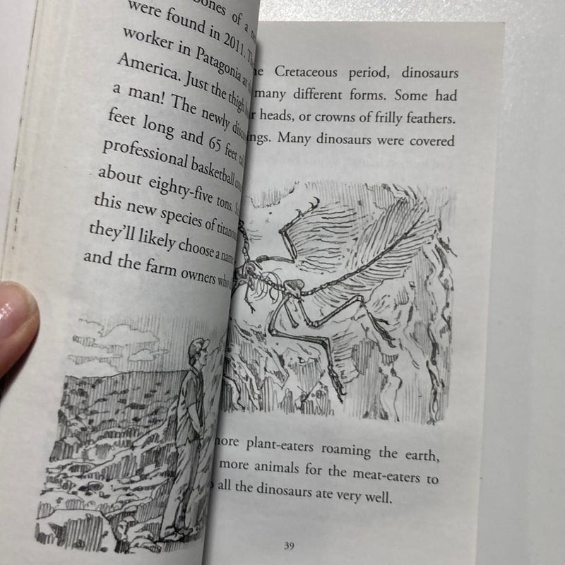 What Was the Age of the Dinosaurs? by Megan Stine, Who HQ