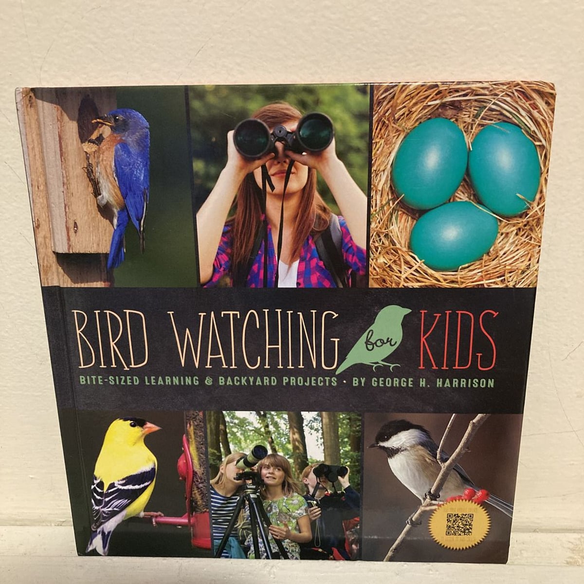Birdwatching for Kids