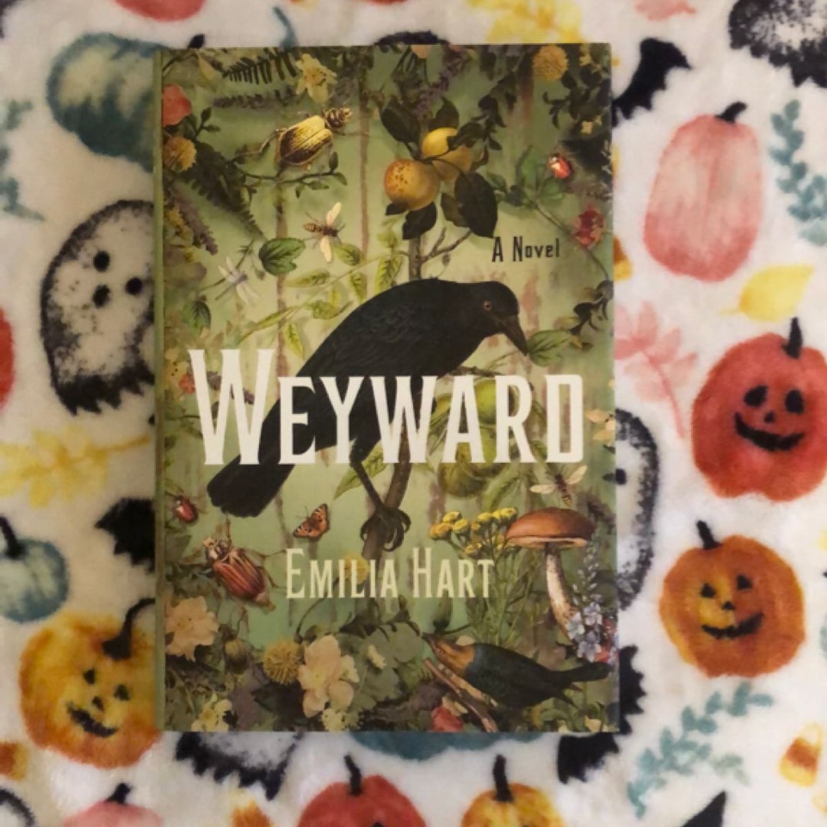 Weyward by Emilia Hart, Hardcover | Pangobooks