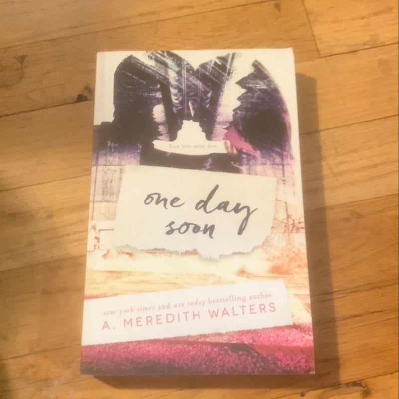 One Day Soon by A. Meredith Walters