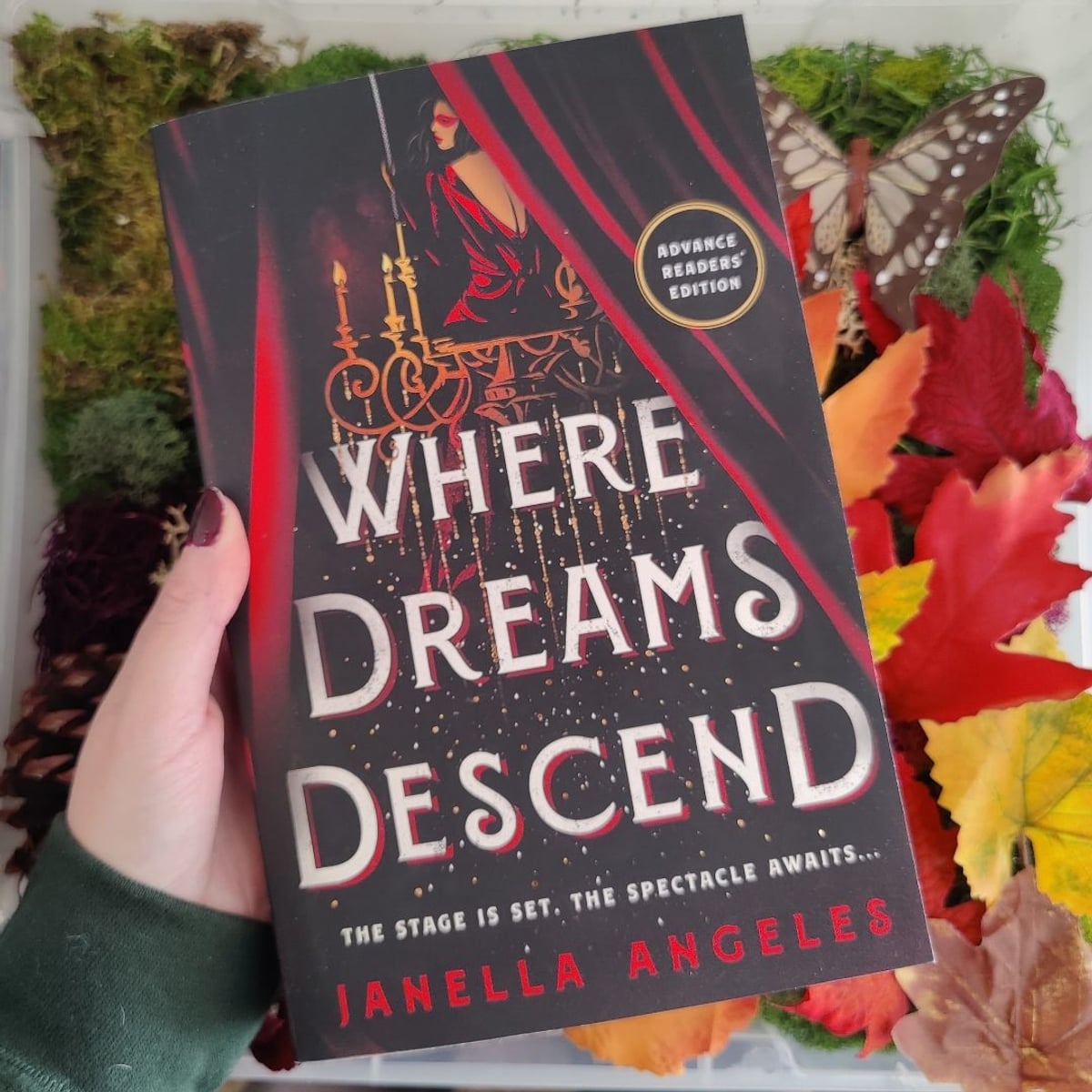 Where Dreams Descend ARC by Janella Angeles , Paperback | Pangobooks