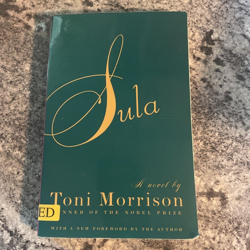 Sula by Toni Morrison , Paperback | Pangobooks