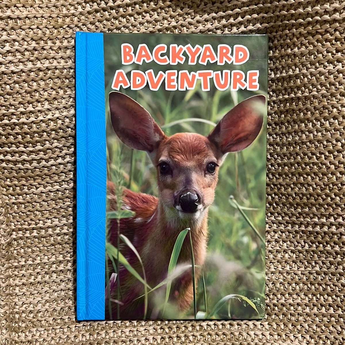 Backyard Adventure by Cynthia Stierle, Hardcover | Pangobooks