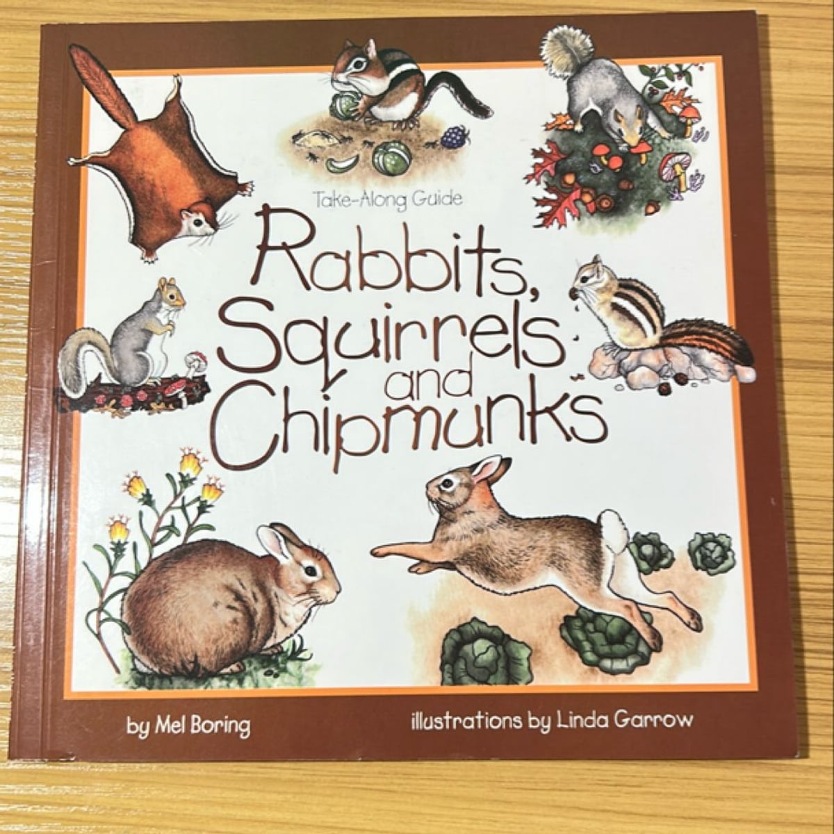 Rabbits, Squirrels and Chipmunks by Mel Boring