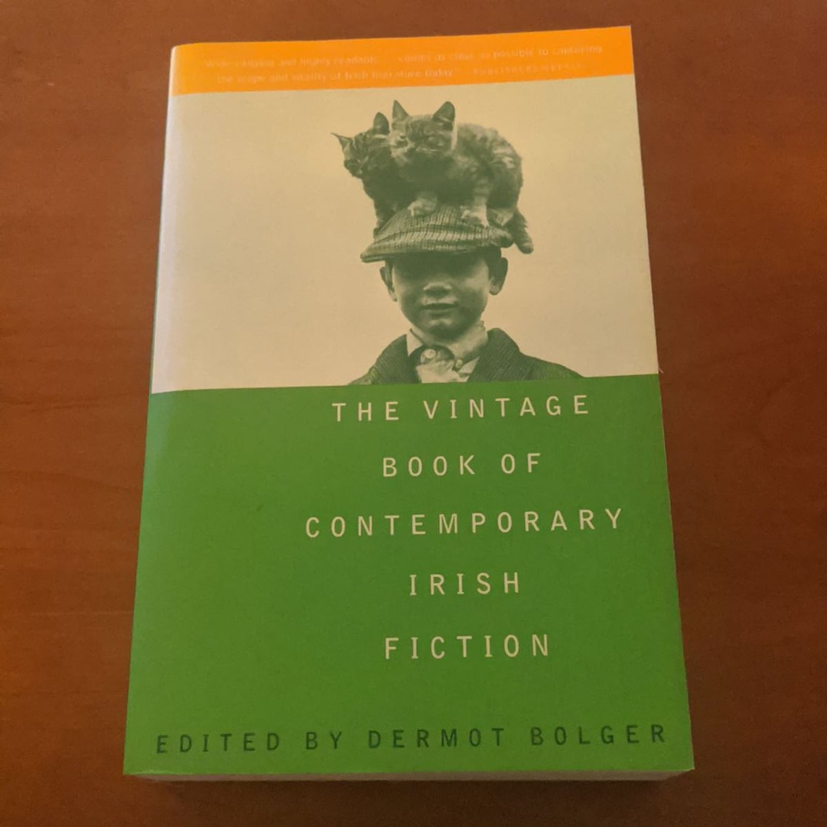 The Vintage Book of Contemporary Irish Fiction by Dermot Bolger