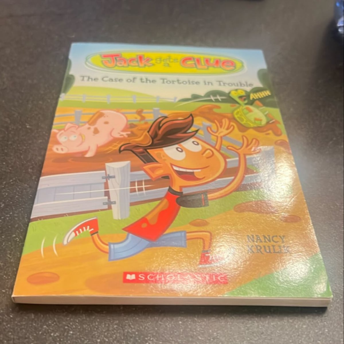 The Case of the Tortoise in Trouble by Nancy Krulik
