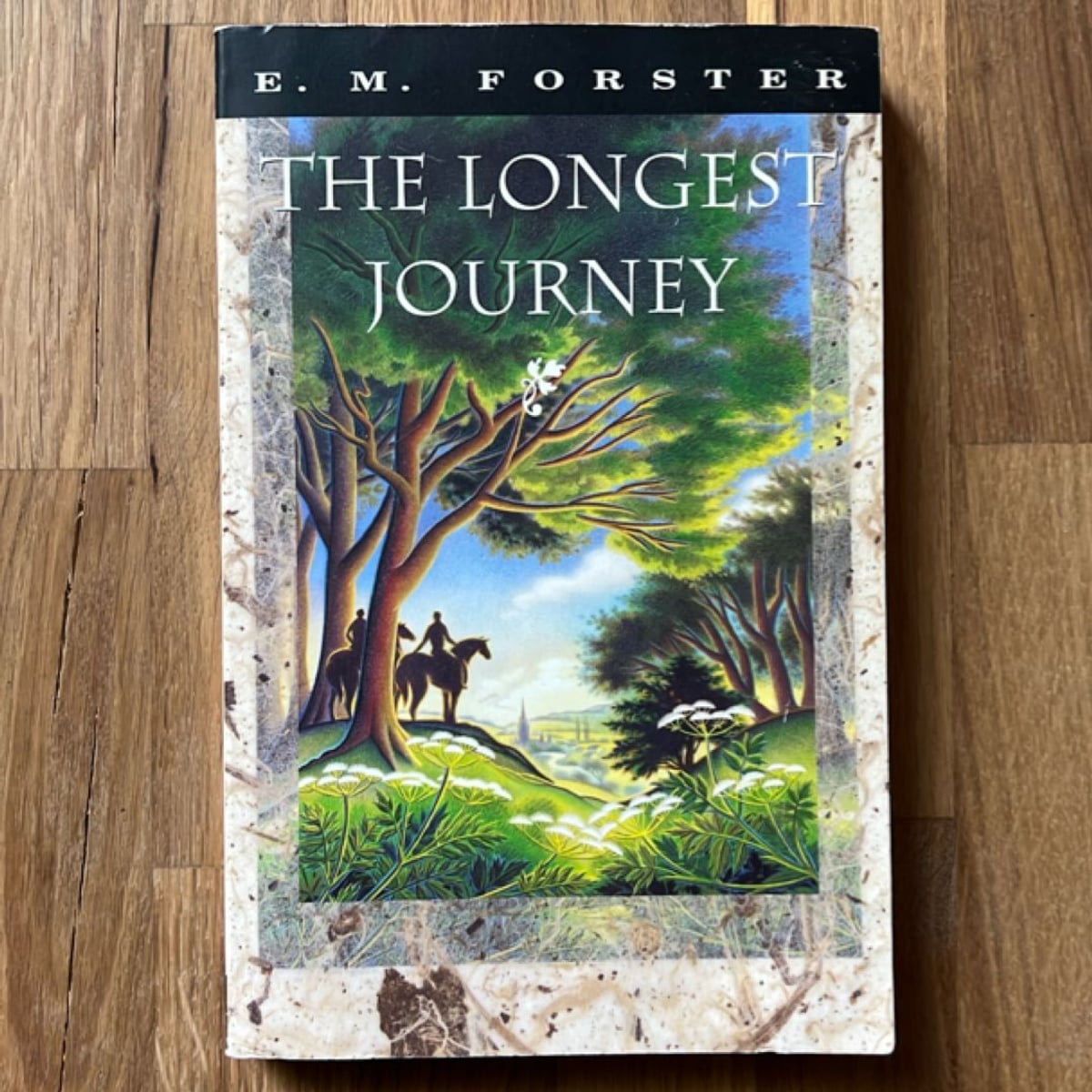 The Longest Journey by Gilbert Adair (Introduction by); Elizabeth Heine ...