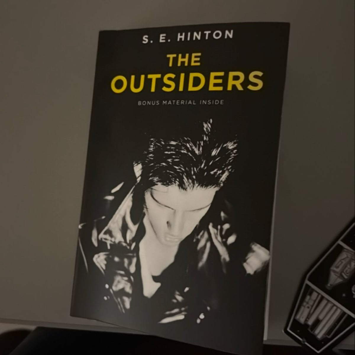 The Outsiders by S. E. Hinton