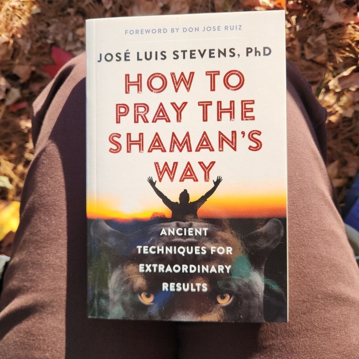 How to Pray the Shaman's Way by José Luis Stevens, Don Jose Ruiz
