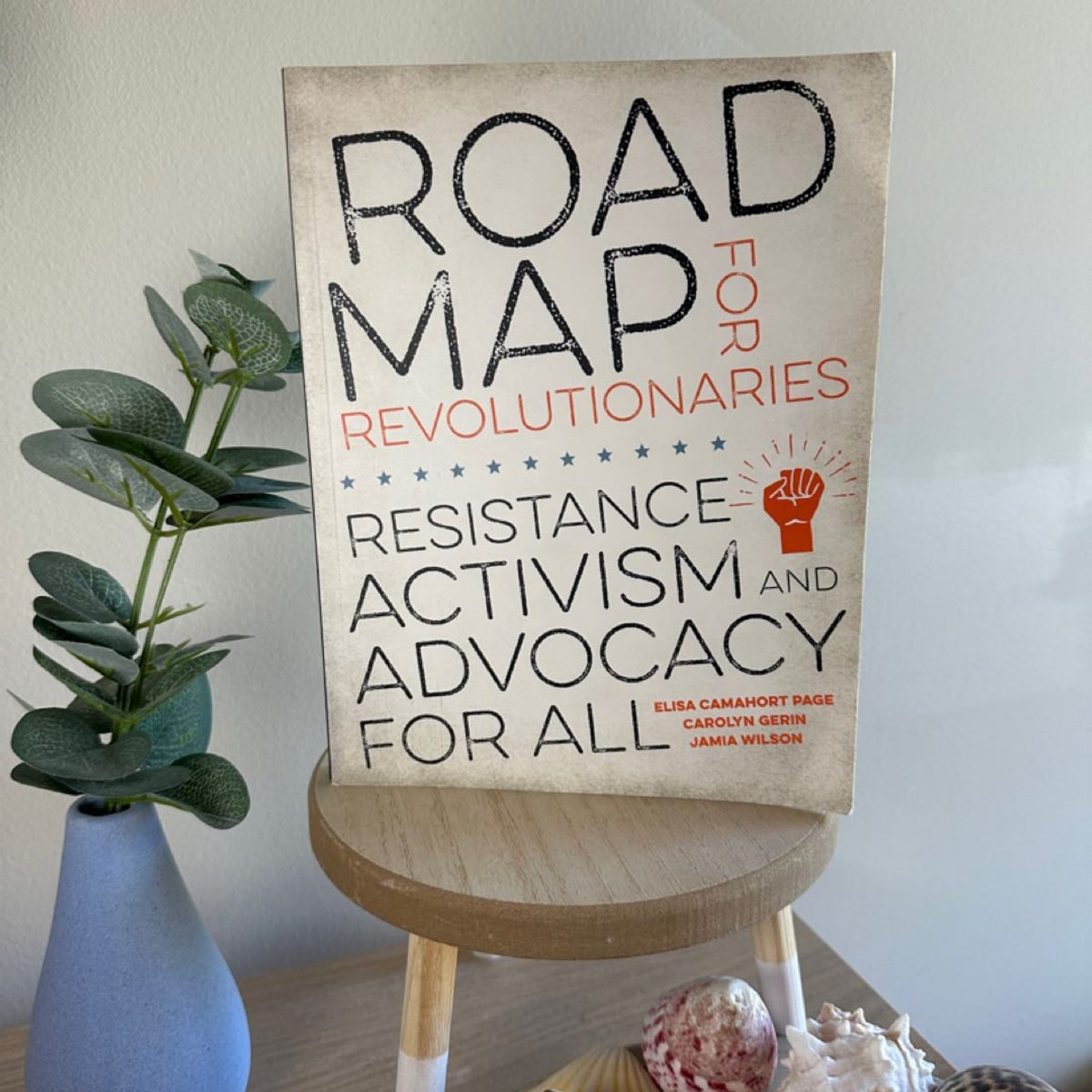 Road Map for Revolutionaries by Elisa Camahort Page, Carolyn Gerin ...