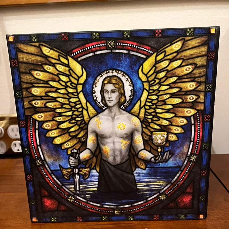 SPECIAL LIFTJOY SIGNED ED The Mortal Instruments Series Collection ...