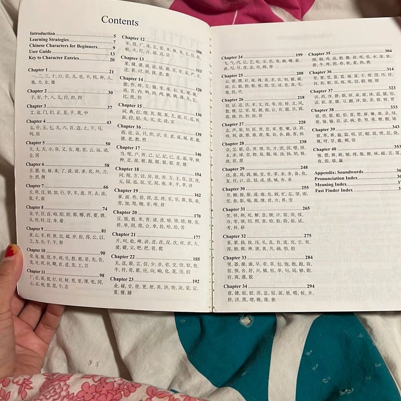 Learning Chinese Characters by Alison Matthews, Paperback | Pangobooks