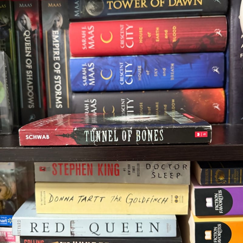 Tunnel of Bones by Victoria Schwab, Paperback | Pangobooks
