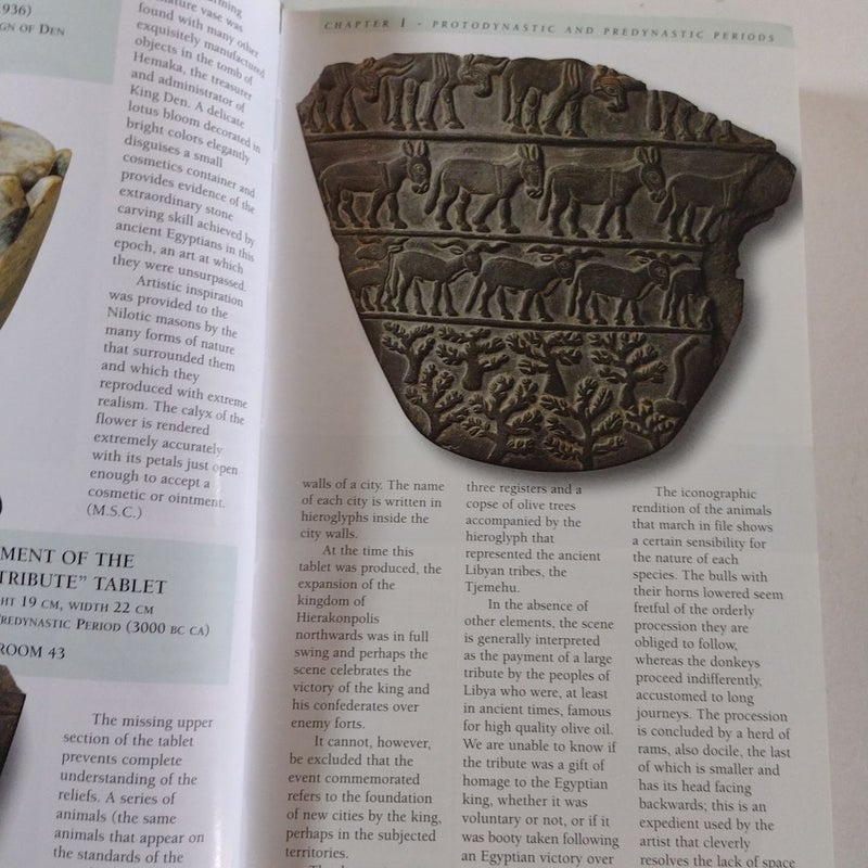 The Treasures of Ancient Egypt by Egyptian Museum Staff, Paperback ...