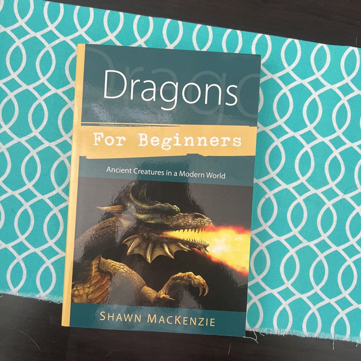 Dragons for Beginners by Shawn MacKenzie