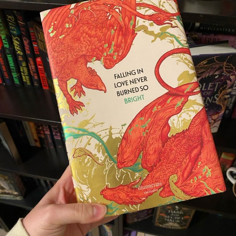 The Phoenix Keeper by S.A. Maclean, Hardcover | Pangobooks