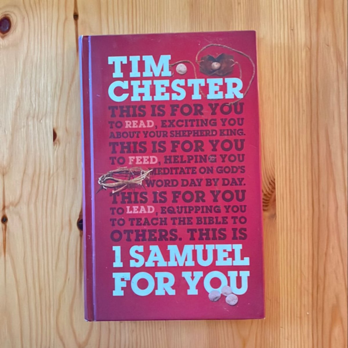 1 Samuel for You by Tim Chester