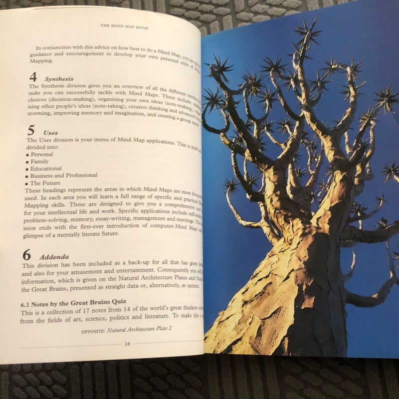 The Mind Map Book by Tony Buzan; Barry Buzan