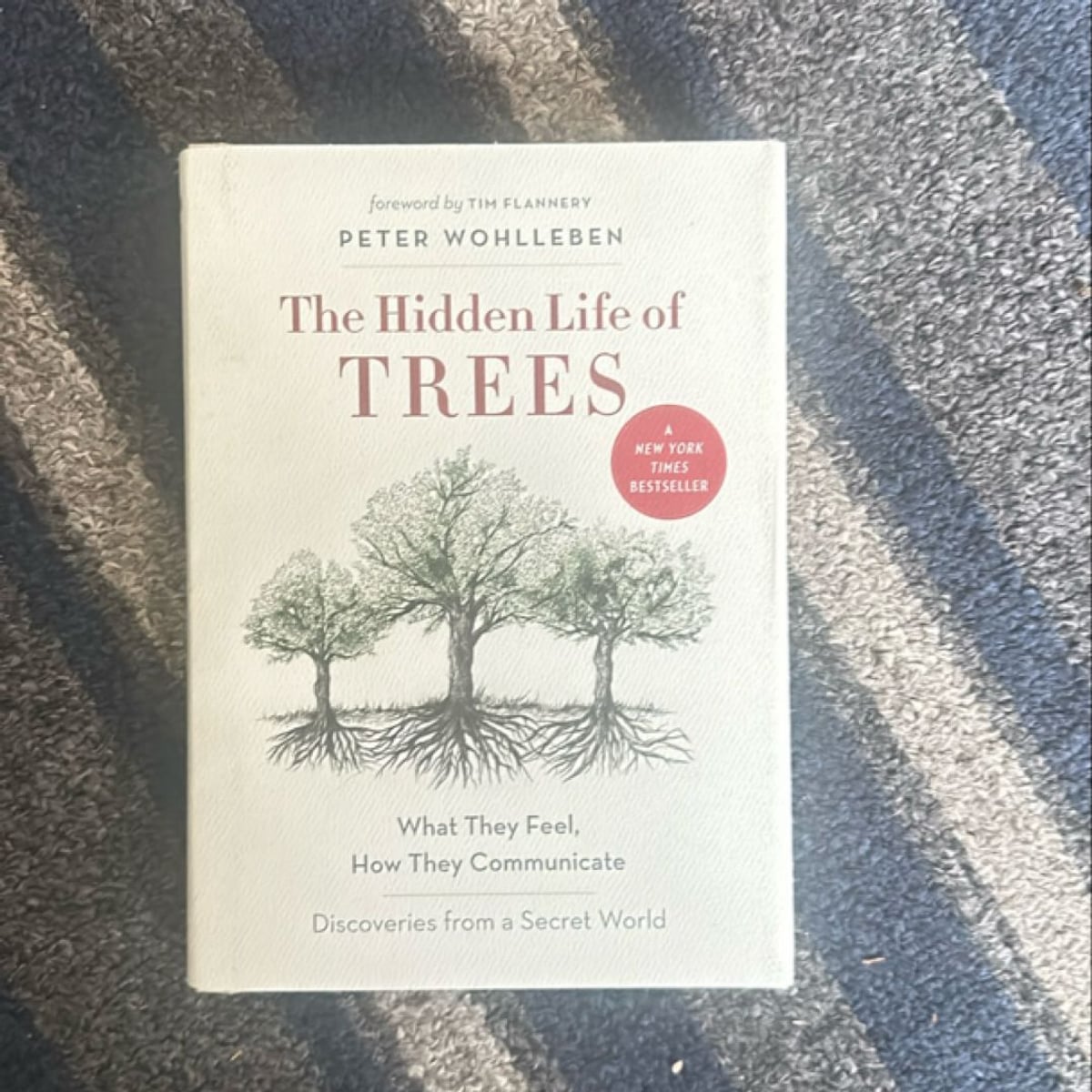 The Hidden Life of Trees by Peter Wohlleben, Hardcover | Pangobooks