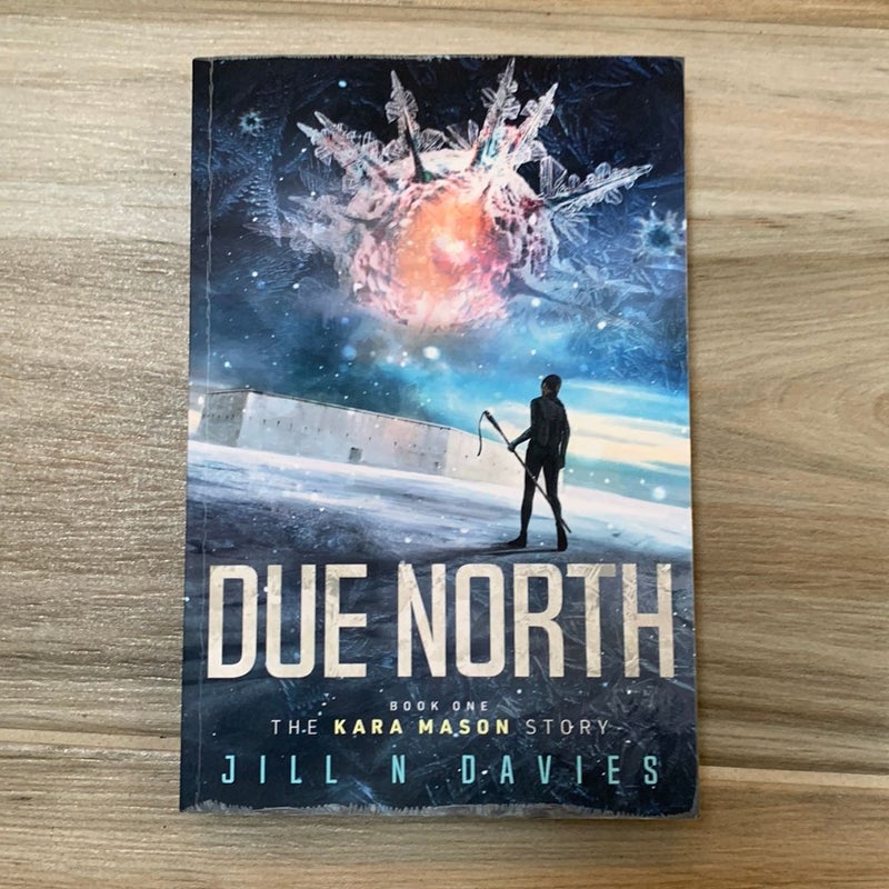Due North by Jill Davies