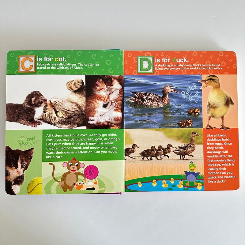 Baby Einstein: Baby Animals by , Hardcover | Pangobooks